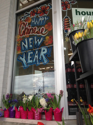 Promotional Window Paintings - Graphic Garden Design Studio