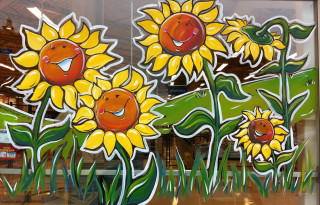 Spring & Summer Window Paintings - Graphic Garden Design Studio
