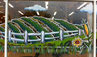 Spring & Summer Window Paintings - Graphic Garden Design Studio