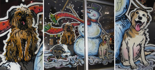 Animals & Winter Window Paintings - Graphic Garden Design Studio