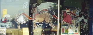 Animals & Winter Window Paintings - Graphic Garden Design Studio