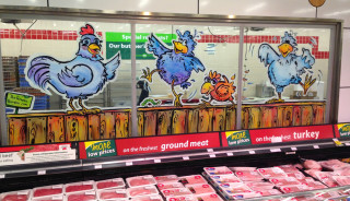 Promotional Window Paintings - Graphic Garden Design Studio