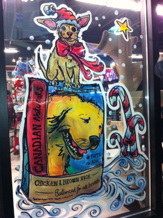 Animals & Winter Window Paintings - Graphic Garden Design Studio