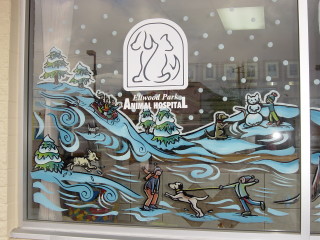 Animals & Winter Window Paintings - Graphic Garden Design Studio