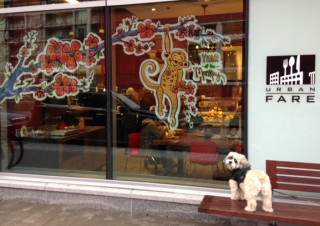 Spring & Summer Window Paintings - Graphic Garden Design Studio